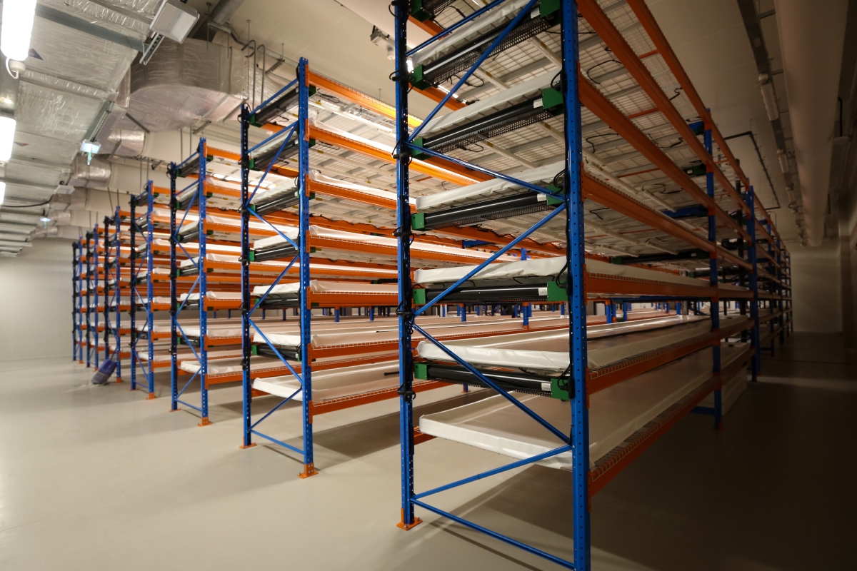 Emirates Crop One Vertical Farm - AMANA.