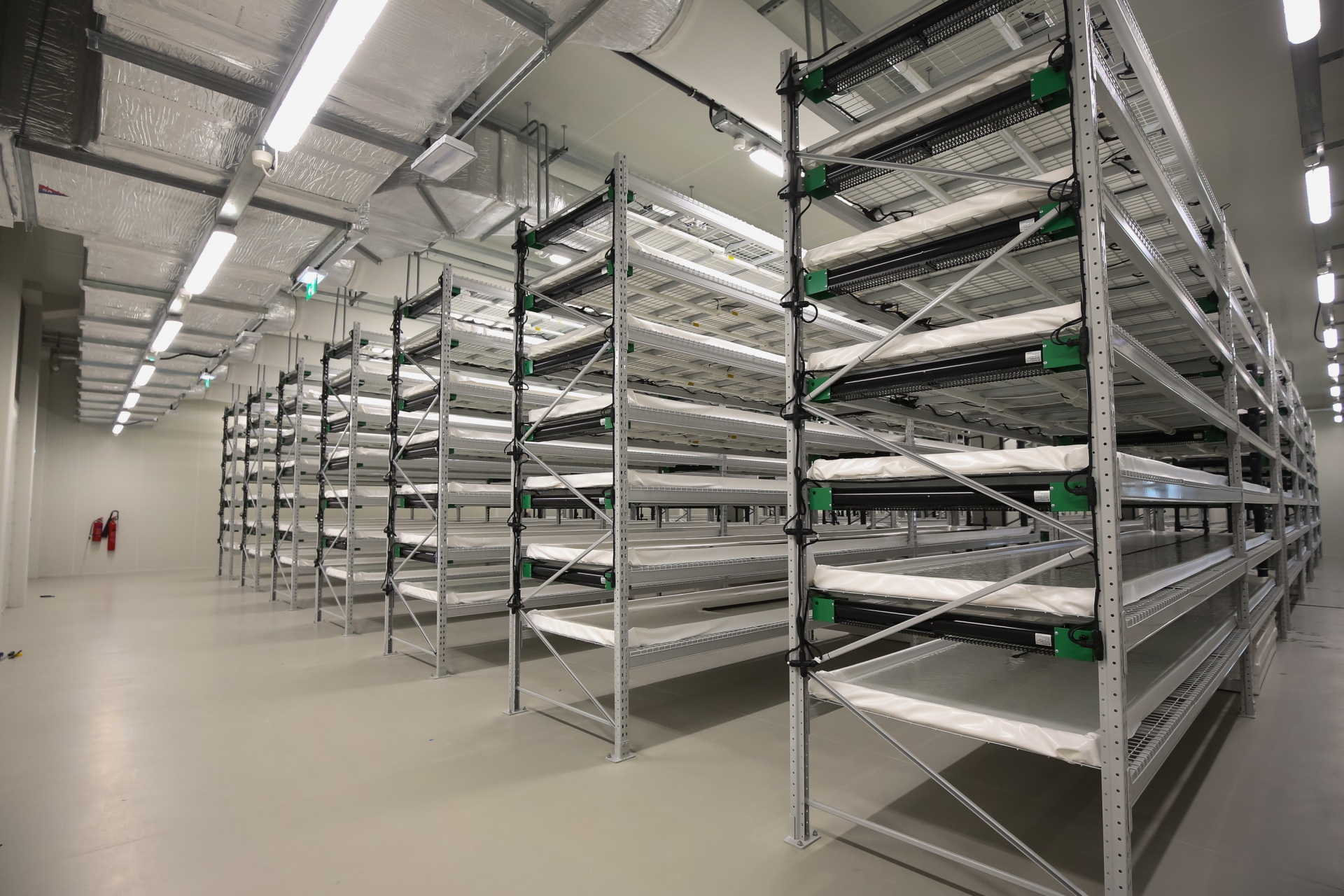 Emirates Crop One Vertical Farm - AMANA.