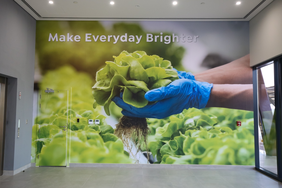 Emirates Crop One Vertical Farm - AMANA.